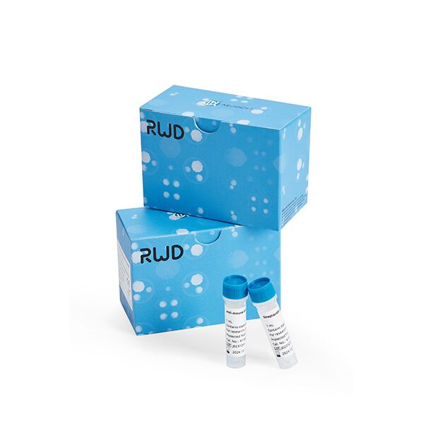 Human NK Cell Isolation Kit(RUO) - RWD Life Science